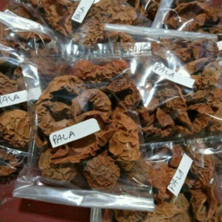 Jual Kulit Pala Kering 1 Kg | Shopee Indonesia