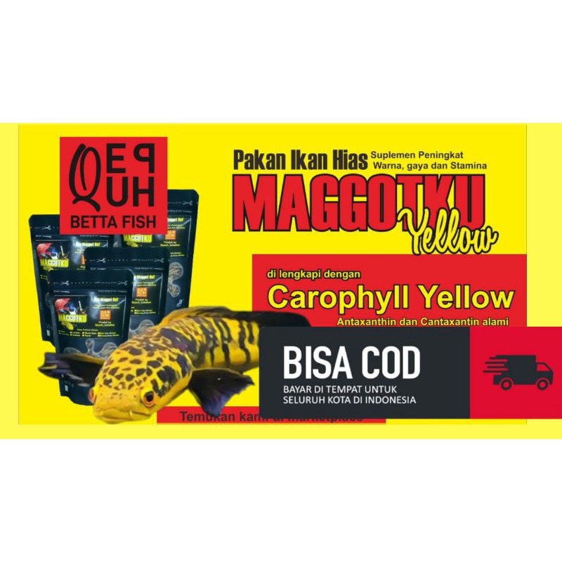 Jual PAKAN PREMIUM YELLOW MAGGOT KERING PAKAN CHANNA PROGRES WARNA IKAN ...