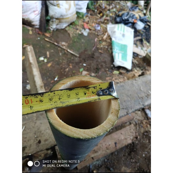Jual bambu bulat 50 cm (diameter 8-9cm tebal 1cm) | Shopee Indonesia