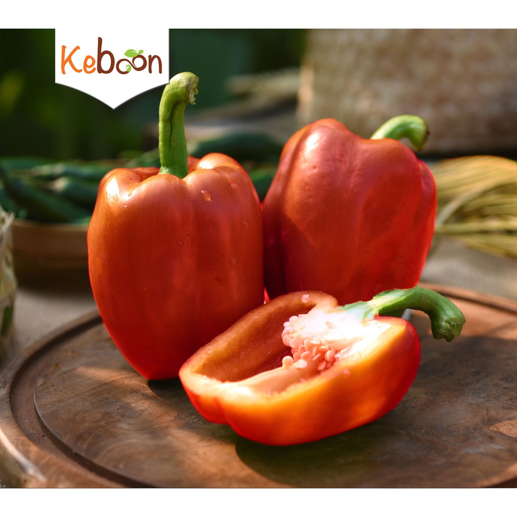 Jual Paprika Merah (1 kg) | Shopee Indonesia