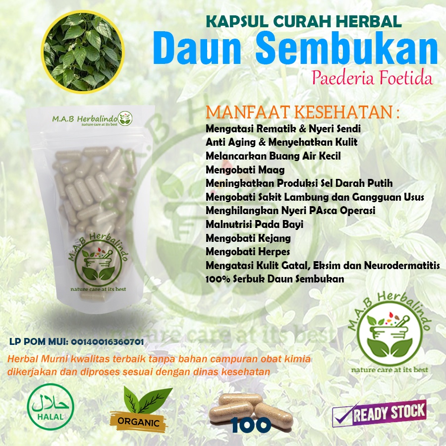 Jual DAUN SEMBUKAN 100 Kapsul Curah Herbal Jerawat Maag Bronchitis ...
