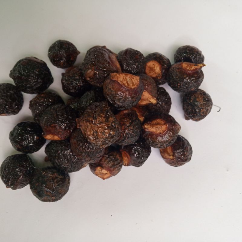 Jual Buah Lerak/Klerak Segar Pencuci Batik Alami | Shopee Indonesia