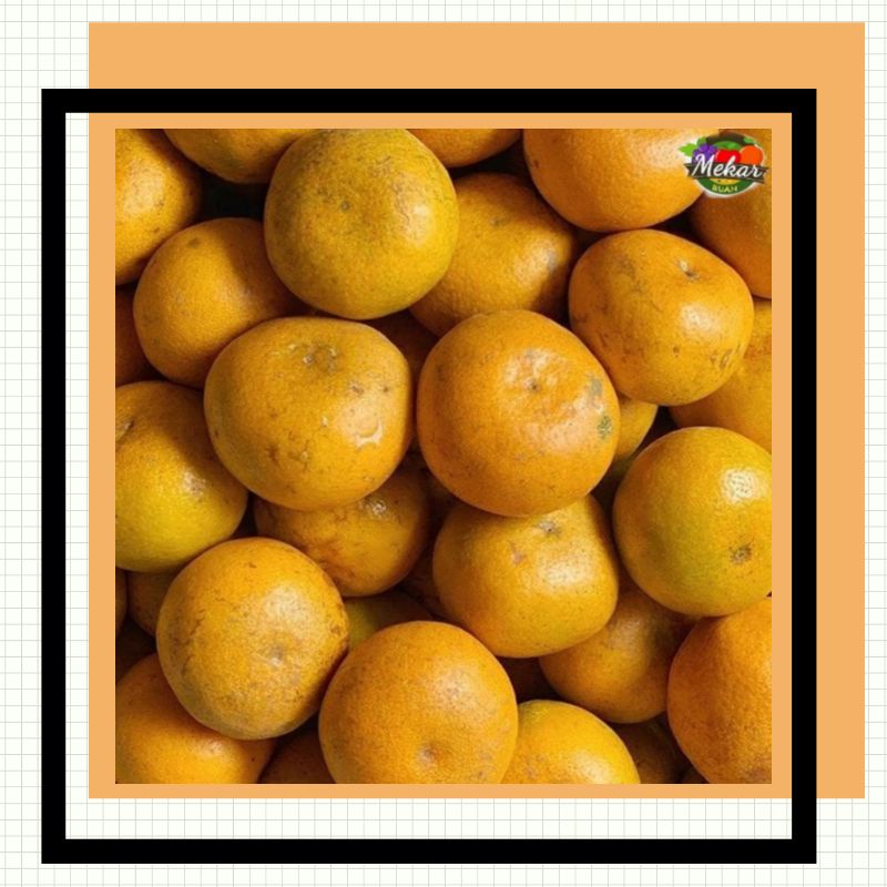 Jual Jeruk Medan manis segar/Jeruk Medan super fresh | Shopee Indonesia