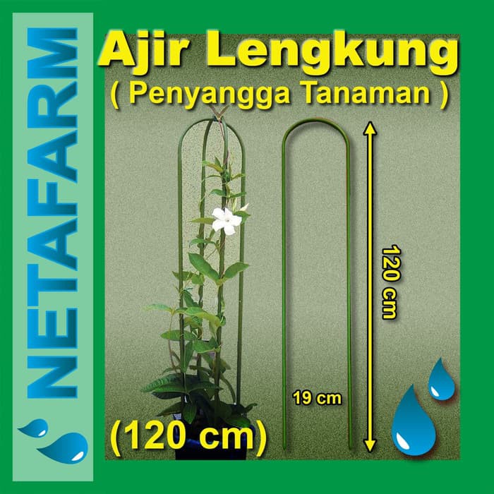 Jual AJIR LENGKUNG - Tinggi 120 cm ( Penyangga Tanaman ) | Shopee Indonesia