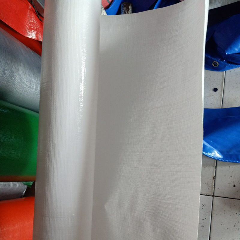 Jual terpal plastik putih murah | Shopee Indonesia