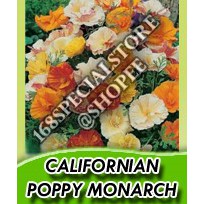 Jual Biji Bunga Californian Poppy Monarch Art Shades (Tahan panas ...