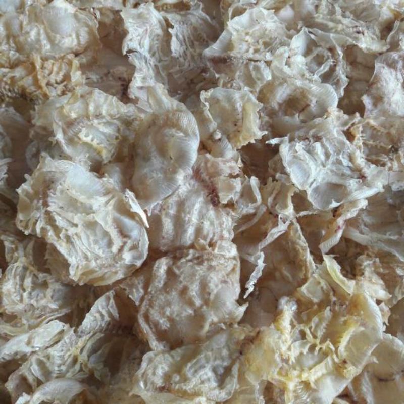 Jual Yi Phiau Gelembung Ikan Manyung Hipio Belly Fish -Mentah | Shopee ...