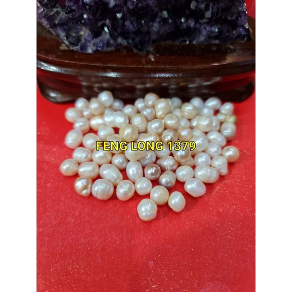 Jual Biji Butiran Mutiara Asli | Shopee Indonesia