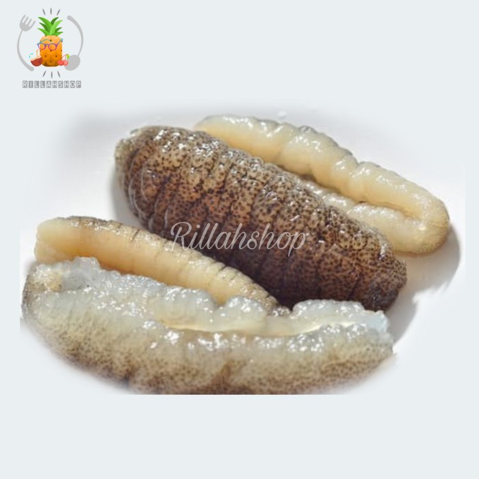Jual Teripang Susukoro| Timun Laut | Sea Cucumber | Hoisom 250 Gram ...