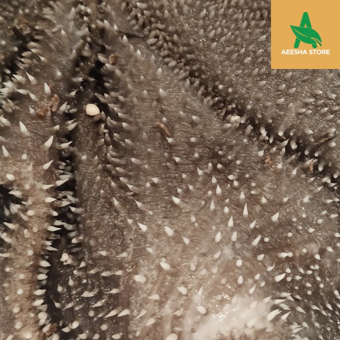 Jual Babat Raweuy Babat Sapi daging sapi 1/2 kg AEESHASTORE | Shopee ...