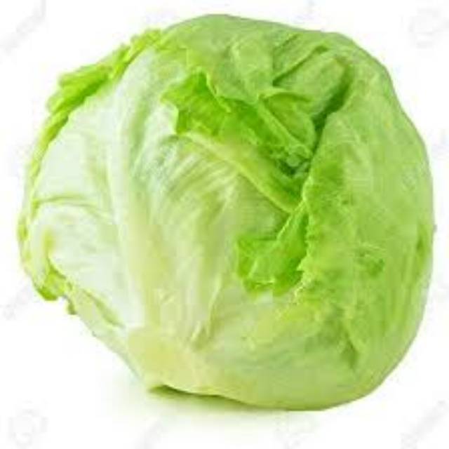Jual Sayur Lettuce 1kg | Shopee Indonesia
