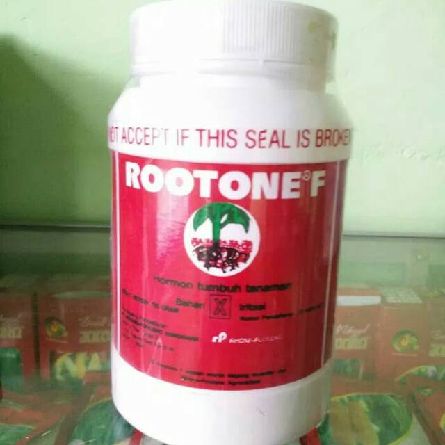 Jual Hormon Zat Pengatur Tumbuh (ZPT) Rootone F 750 Gram | Shopee Indonesia