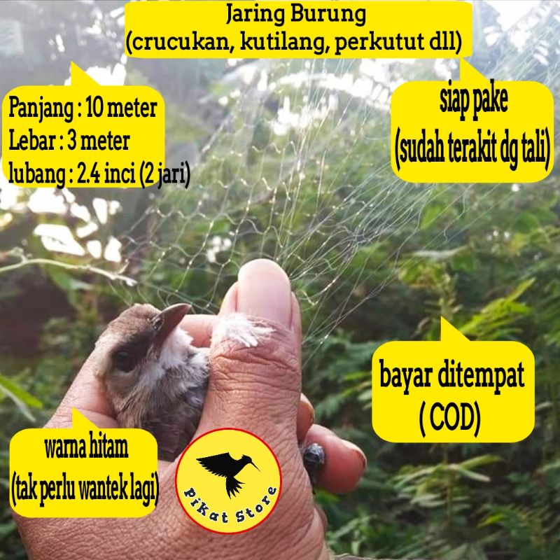 Jual JARING BURUNG CRUCUKAN KUTILANG JARING BURUNG CERUCUKAN JARENG ...