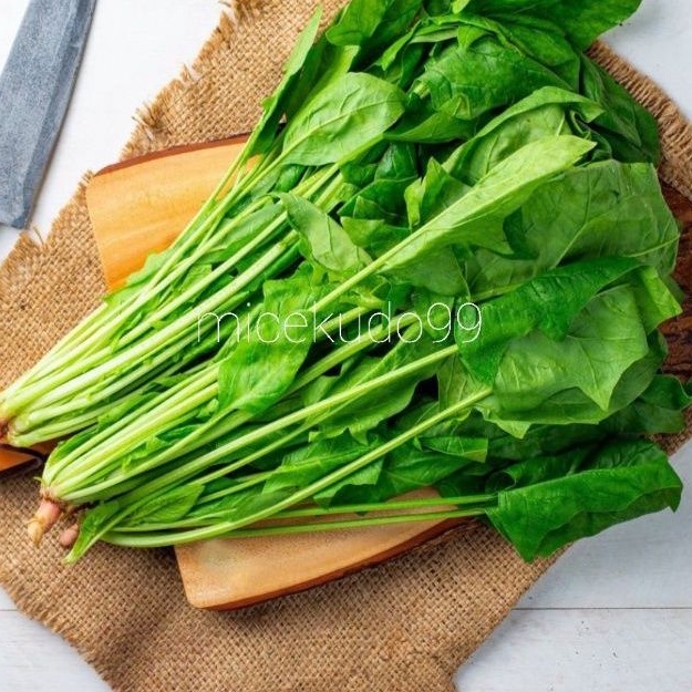 Jual HORENZO BAYAM INGGRIS / JEPANG HORENSO DAUN POLING ENGLISH SPINACH ...