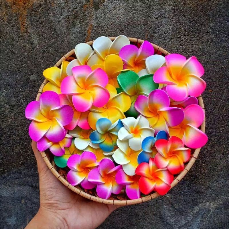 Jual 17544 - JEPIT RAMBUT BUNGA BALI KAMBOJA AKSESORIS JEPITAN HAIR PIN ...