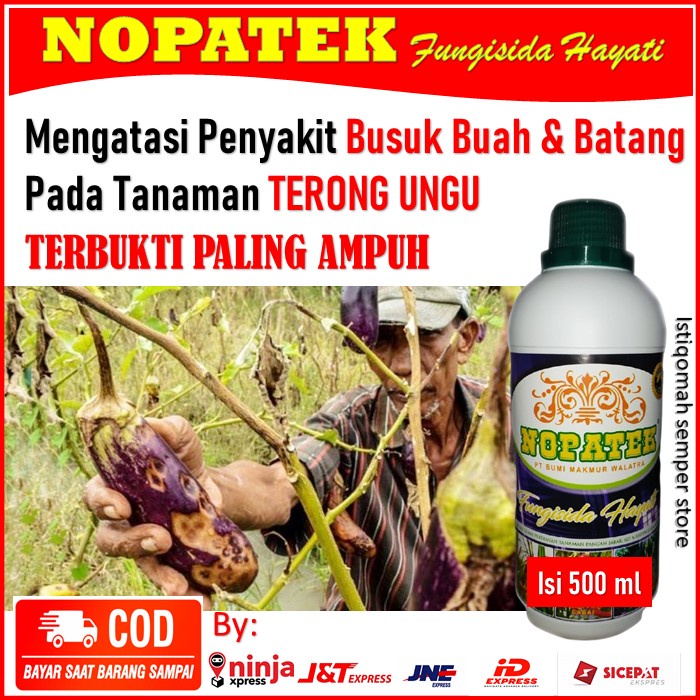 Jual NOPATEK Fungisida Hayati Obat Atasi Busuk Buah & Batang Tanaman ...