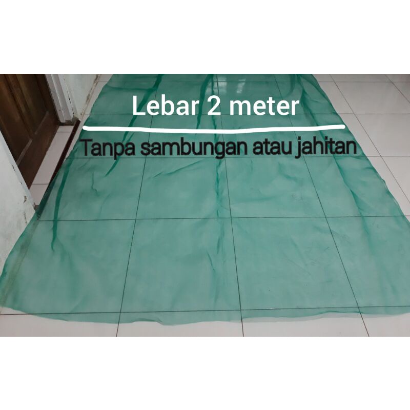 Jual Jaring waring kasa hijau/Insect Net/Jaring Kandang BSF/Jaring ... Jual Jaring waring kasa hijau/Insect Net/Jaring Kandang BSF/Jaring ...