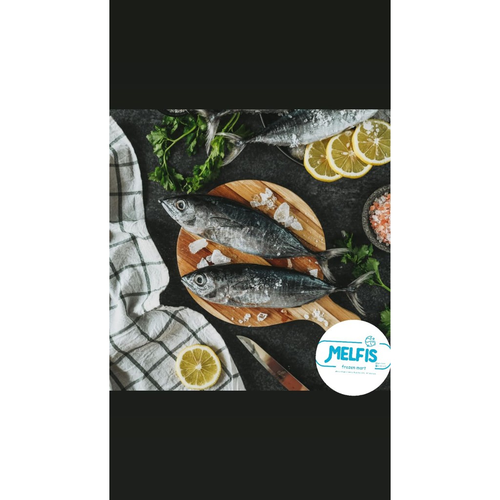 Jual Ikan Baby Tuna 1 Kg Beku Kapal | Shopee Indonesia