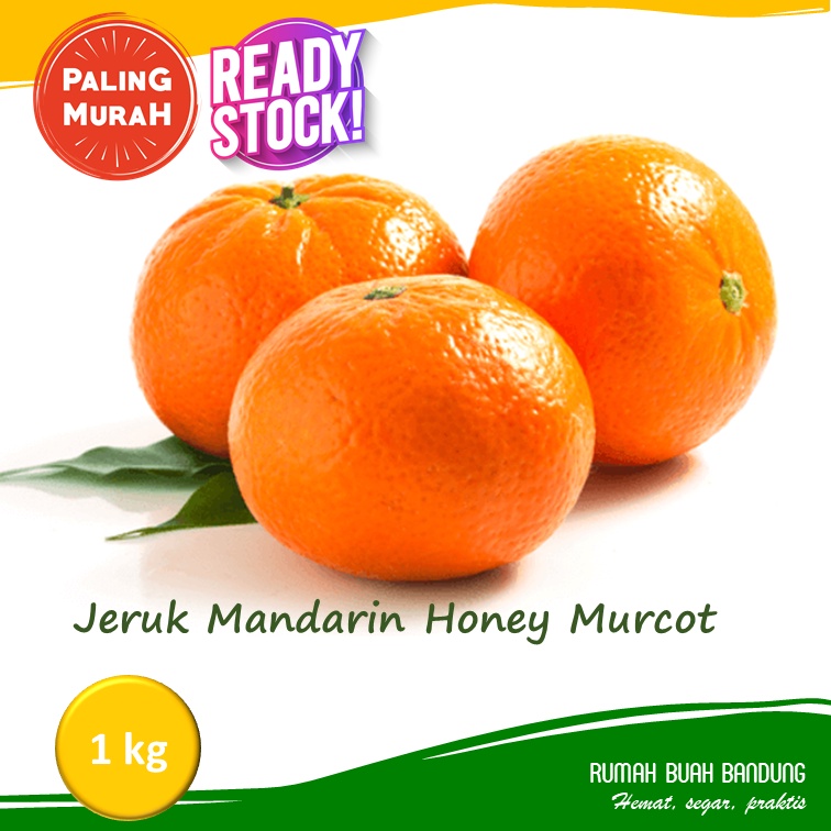 Jual jeruk mandarin honey murcot 500 gram | Shopee Indonesia