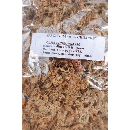 Jual Media Spagnum Moss - Media Tanam Anggrek Moss Putih spaghnum ...