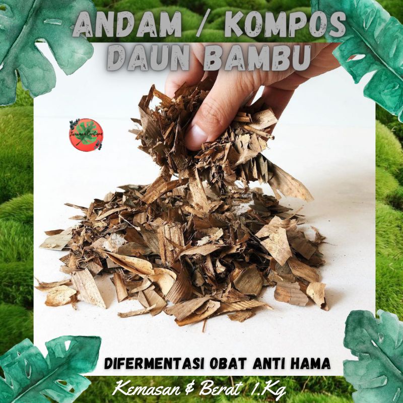 Jual humus daun bambu steril dari hama 1kg / kompos daun bambu / andam ...