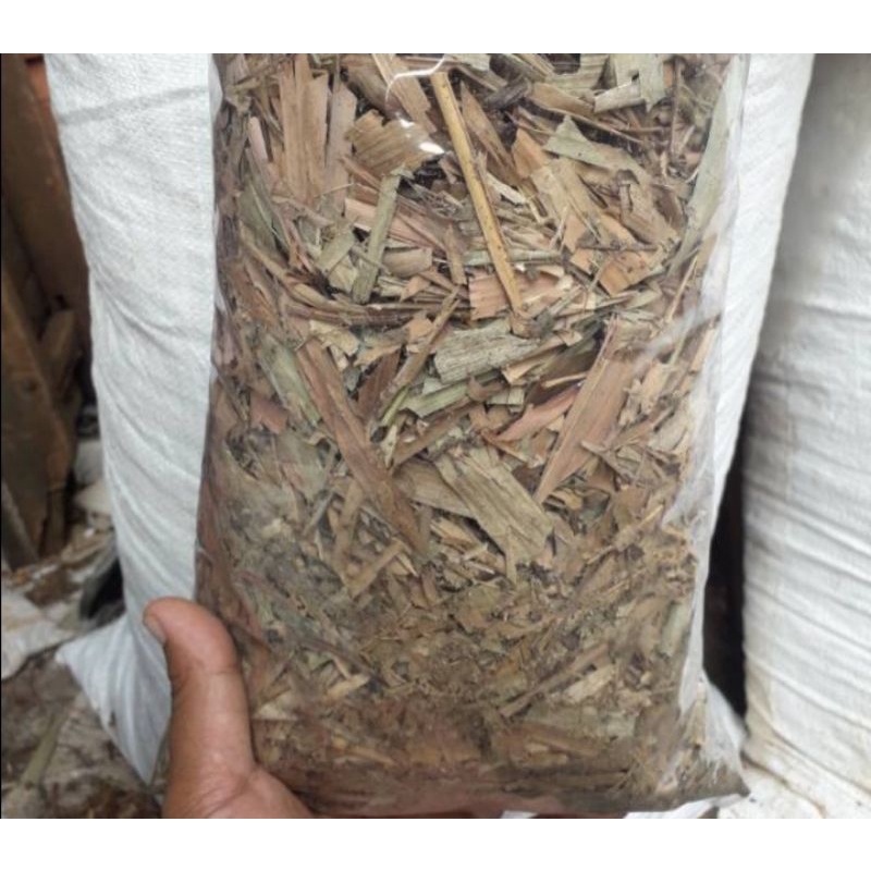 Jual daun bambu kering cacahan media tanam 500gram | Shopee Indonesia