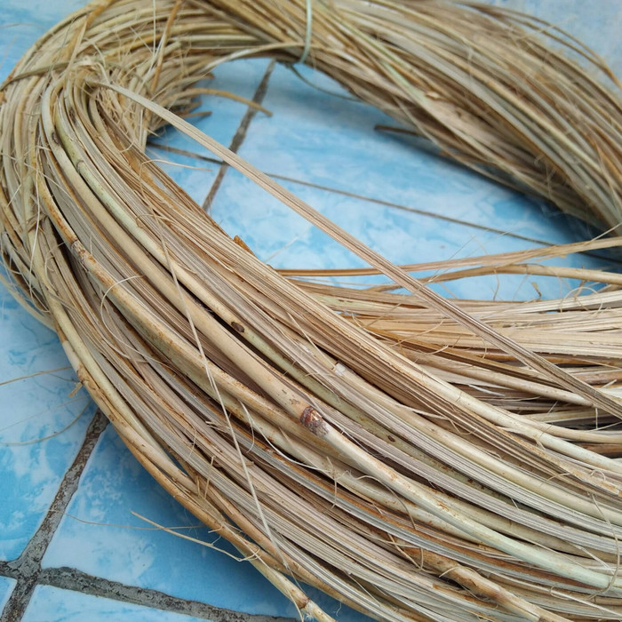 Jual pohon hoe pohon rotan rotan siap pakai | Shopee Indonesia