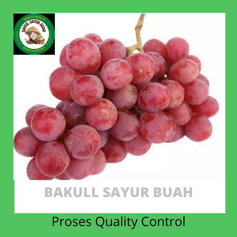 Jual BUAH ANGGUR MERAH SEGAR PER 250G | Shopee Indonesia