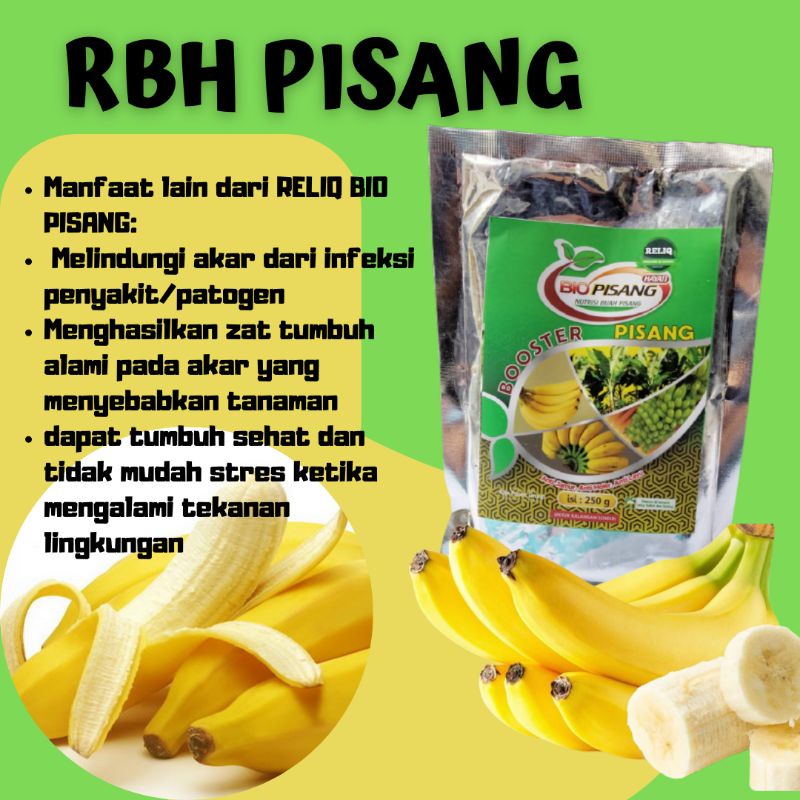 Jual Pupuk Pisang Kepok Organik, Pupuk Pisang Ambon Hayati, RBH PISANG | Shopee Indonesia