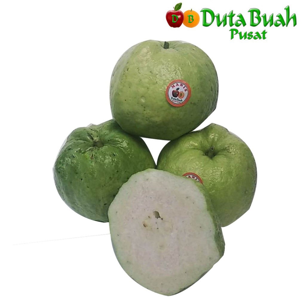 Jual DUTA BUAH Jambu Crystal (900g-1kg/3-5pcs) | Shopee Indonesia