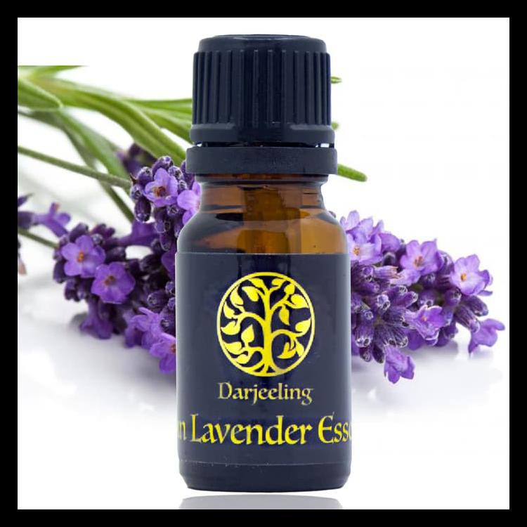 Jual 10ml Bulgarian Lavender Essential Oil Minyak Lavender Bulgaria ...