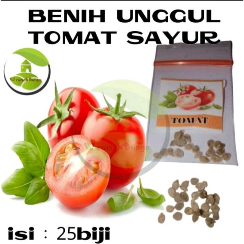 Jual 25 BIJI BENIH SAYUR TOMAT MERAH SUPER | Shopee Indonesia