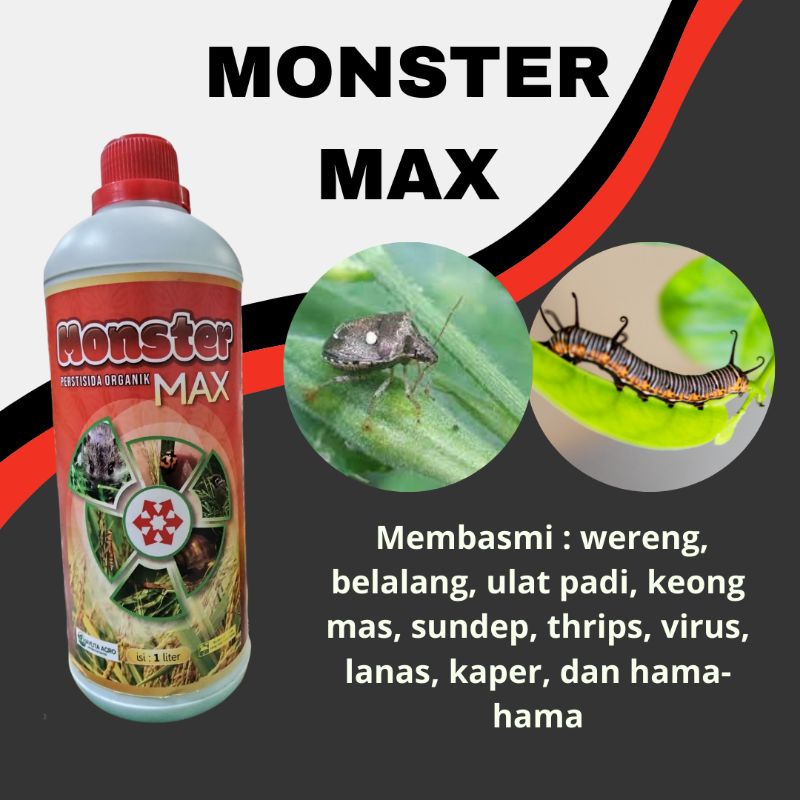 Jual OBAT HAMA WERENG PADA BAWANG MERAH, PESTISIDA ORGANIK AMPUH UNTUK ...