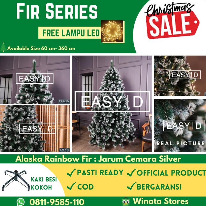 Jual Jual Pohon Natal tipe ALASKA RAINBOW FIR PINE TREE ukuran 120cm ...
