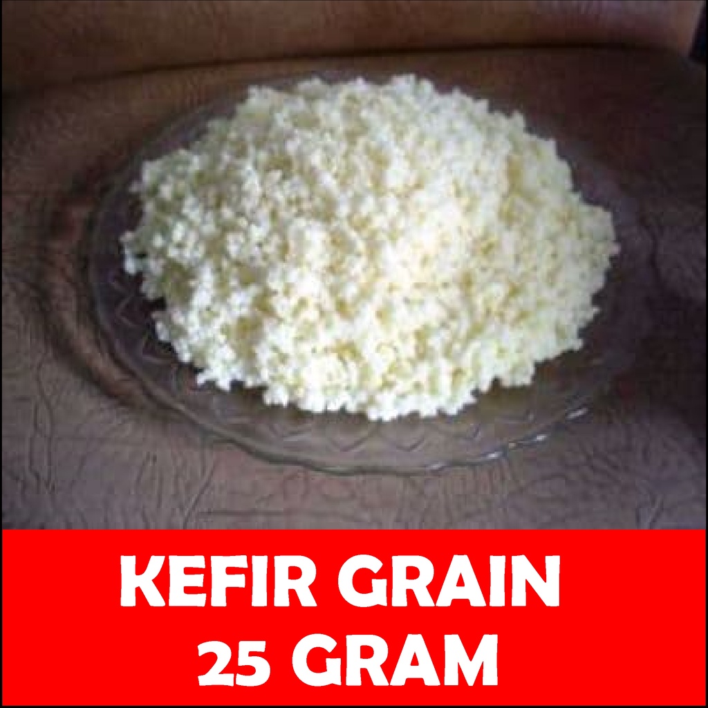 Jual Milk Kefir Grain - Kefir Grain 25 grams Kefir Milk Mushrooms ...