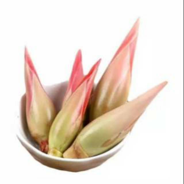 Jual Jual Bunga ke combrang segar 100gram bunga honje rombeh kecombrang ...
