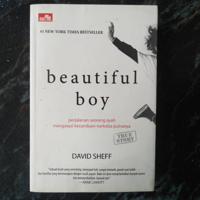 Jual Novel Beautiful Boy - David Sheff | Shopee Indonesia