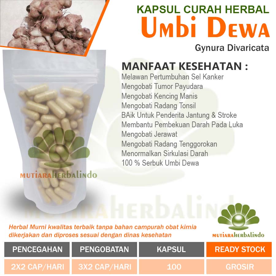 Jual UMBI DEWA 100 Kapsul Herbal Radang Tonsil Jerawat Penggumpalan ...