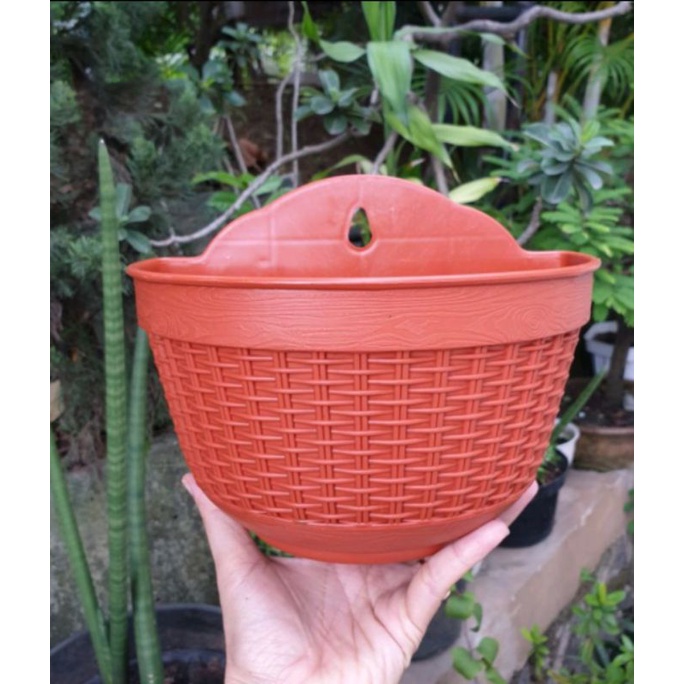 Jual Pot tembok / pot dinding | Shopee Indonesia