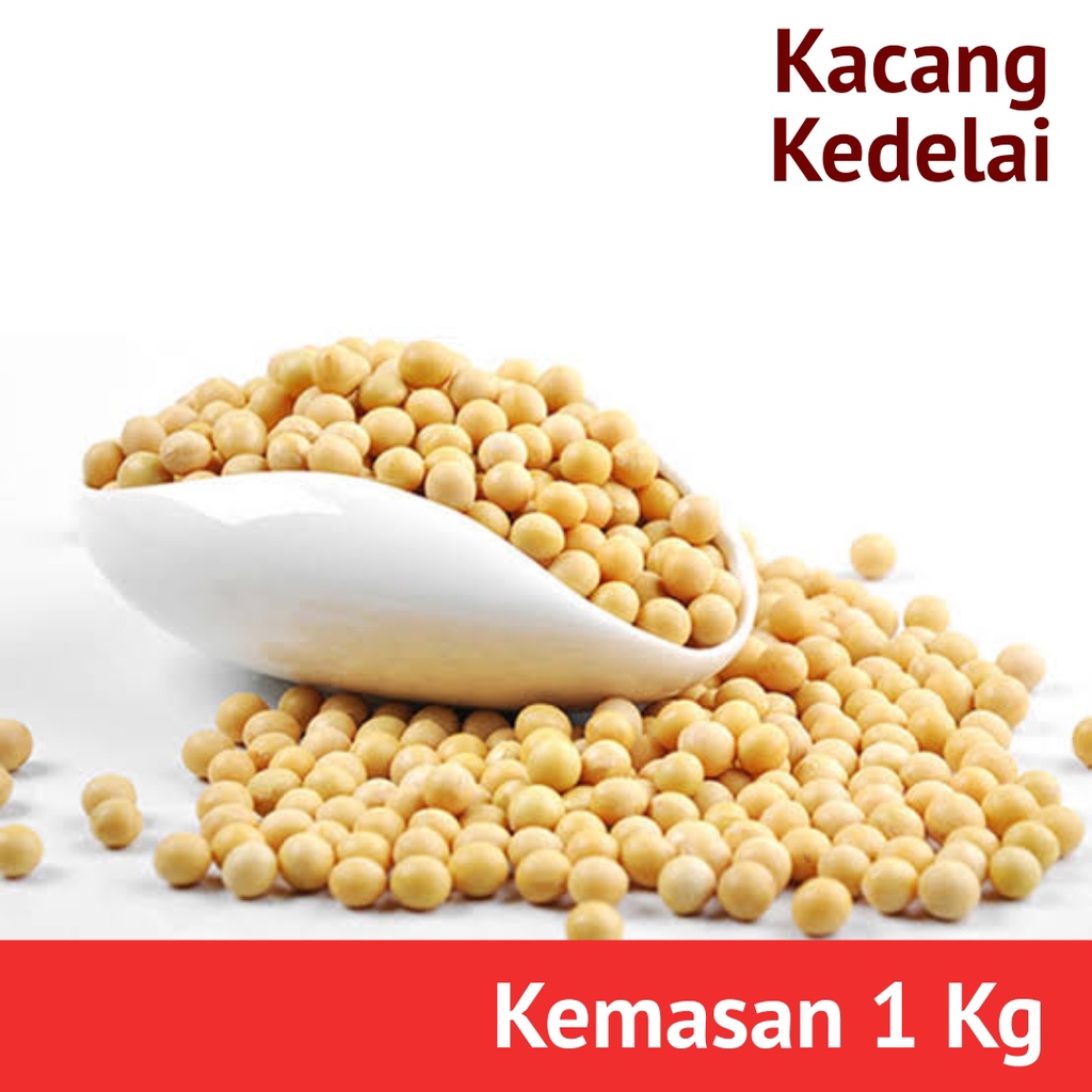 Jual Kacang Kedelai / Kacang Kedele Mentah Bahan Baku Tahu, Tempe, Susu ...