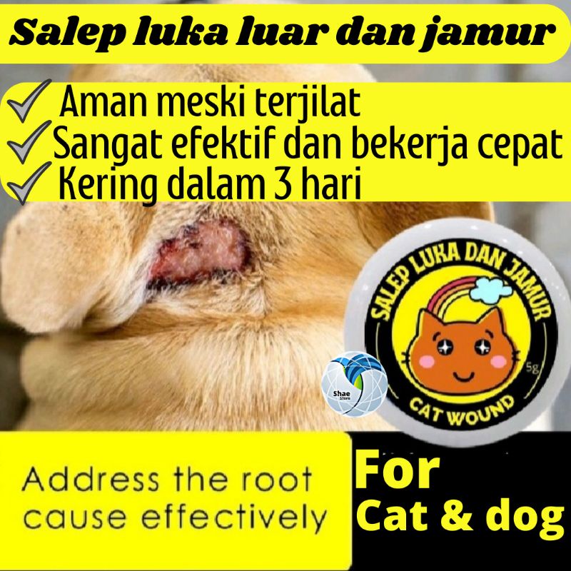 Jual Salep Obat Luka Terbuka Luka Basah Bernanah Berkelahi Jamur Borok ...