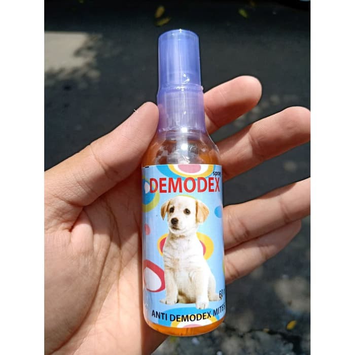 Jual Demodex Dog Spray 30ml - Obat anti scabies Anjing Anti Kutu Tungau ...