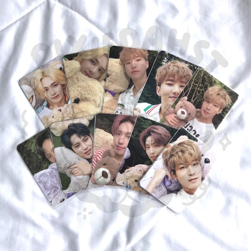 Jual [READY] POB PREORDER SELCA TEDDY DICON MY CHOICE IS D-ICON ...