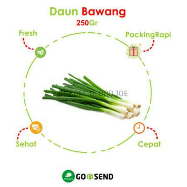 Jual DAUN BAWANG PRE /IKAT / GODONG PREI / LEEK / FRESH VEGETABLES ...