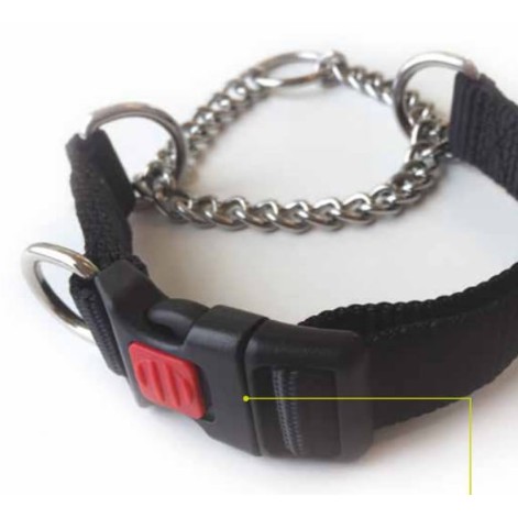 Jual M-Pets Combi Collar/ Collar Anjing Berkualitas with Safety Lock ...