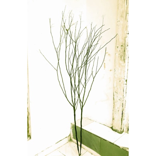 Jual ranting JANDE kering 100-130cm (ranting jande) | Shopee Indonesia