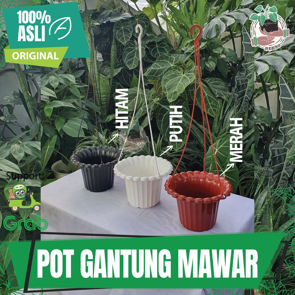 Jual Pot Gantung Rambat Tanaman Hias Pot Tempel Bunga Mawar Pot Plastik ...