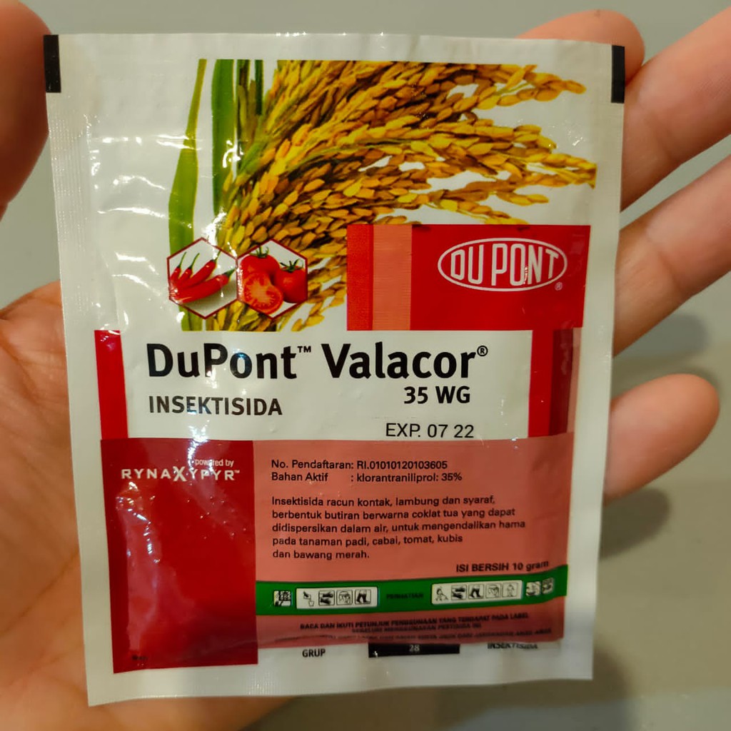 Jual AGROSHOP383 - VALACOR 35 WG 10 gram Insektisida Klorantraniliprol ...