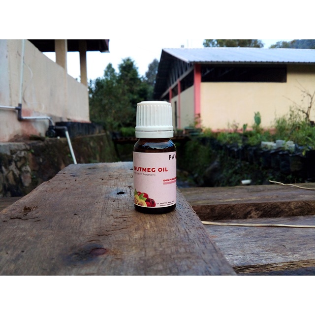 Jual 10 ml sampel - minyak pala - nutmeg oil (Myristica fragrans ...