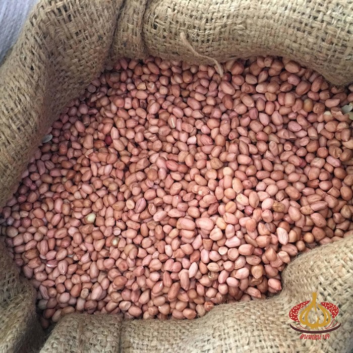 Jual Kacang Tanah India 1 Sak Karung Ball 25 kg instant | Shopee Indonesia